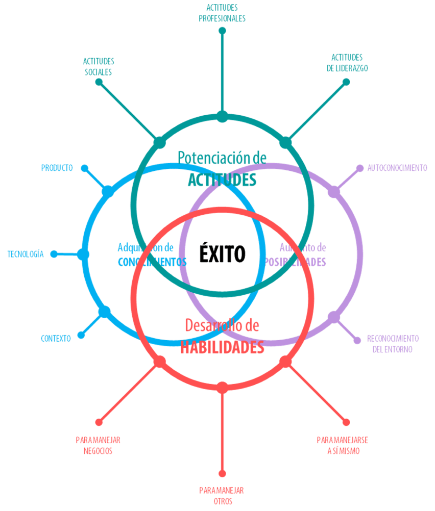 Formación Personalizada para tu Empresa | openCIB